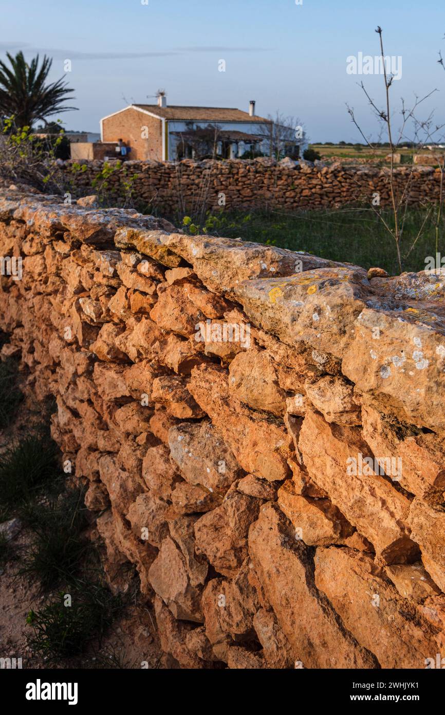 Traditional stone walls for agricultural land Stock Photo - Alamy