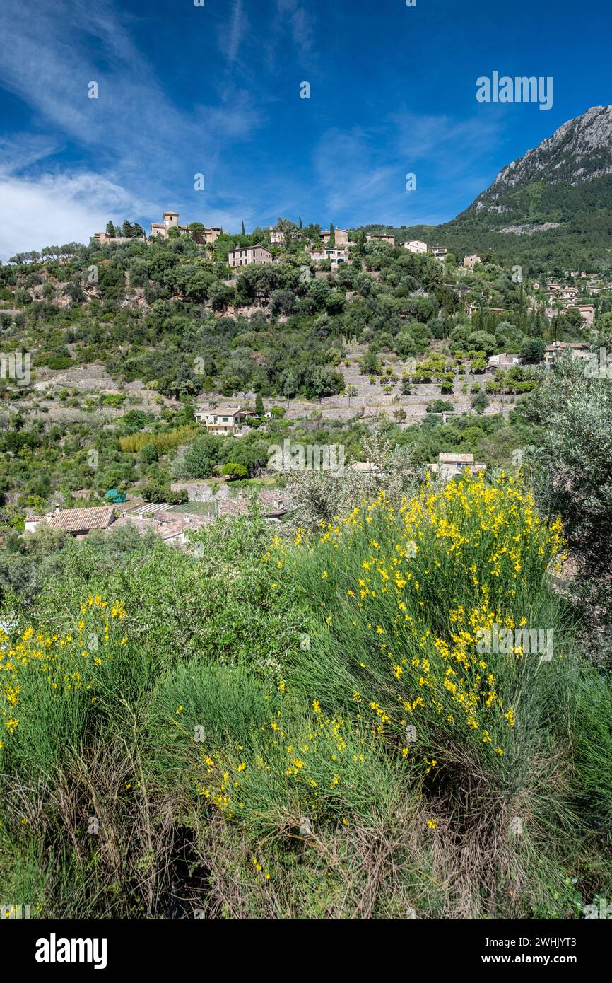 Deya hi-res stock photography and images - Alamy