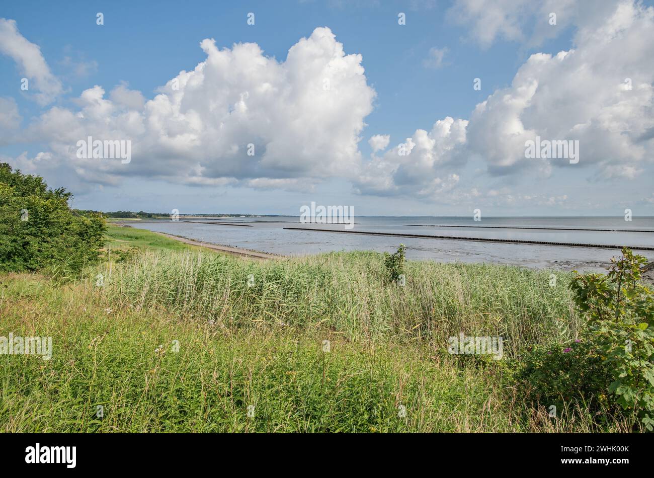 National park wadden sea off keitum on sylt hi-res stock photography ...