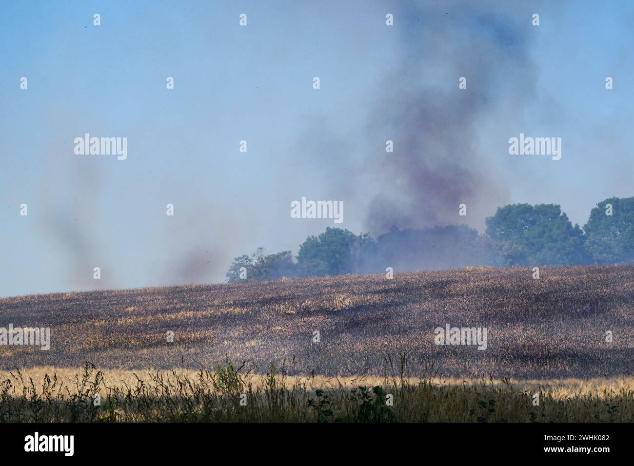 Smoke and ash particles over a burnt agricultural field from a field ...