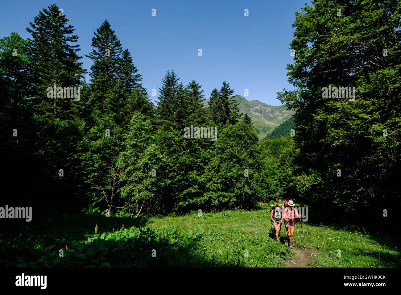 Sustainable biosphere management hi-res stock photography and images ...