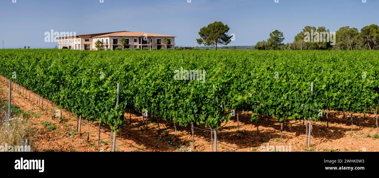 Winery culture hi-res stock photography and images - Alamy