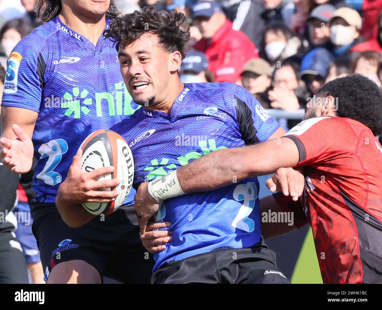 Half eagl hi-res stock photography and images - Alamy