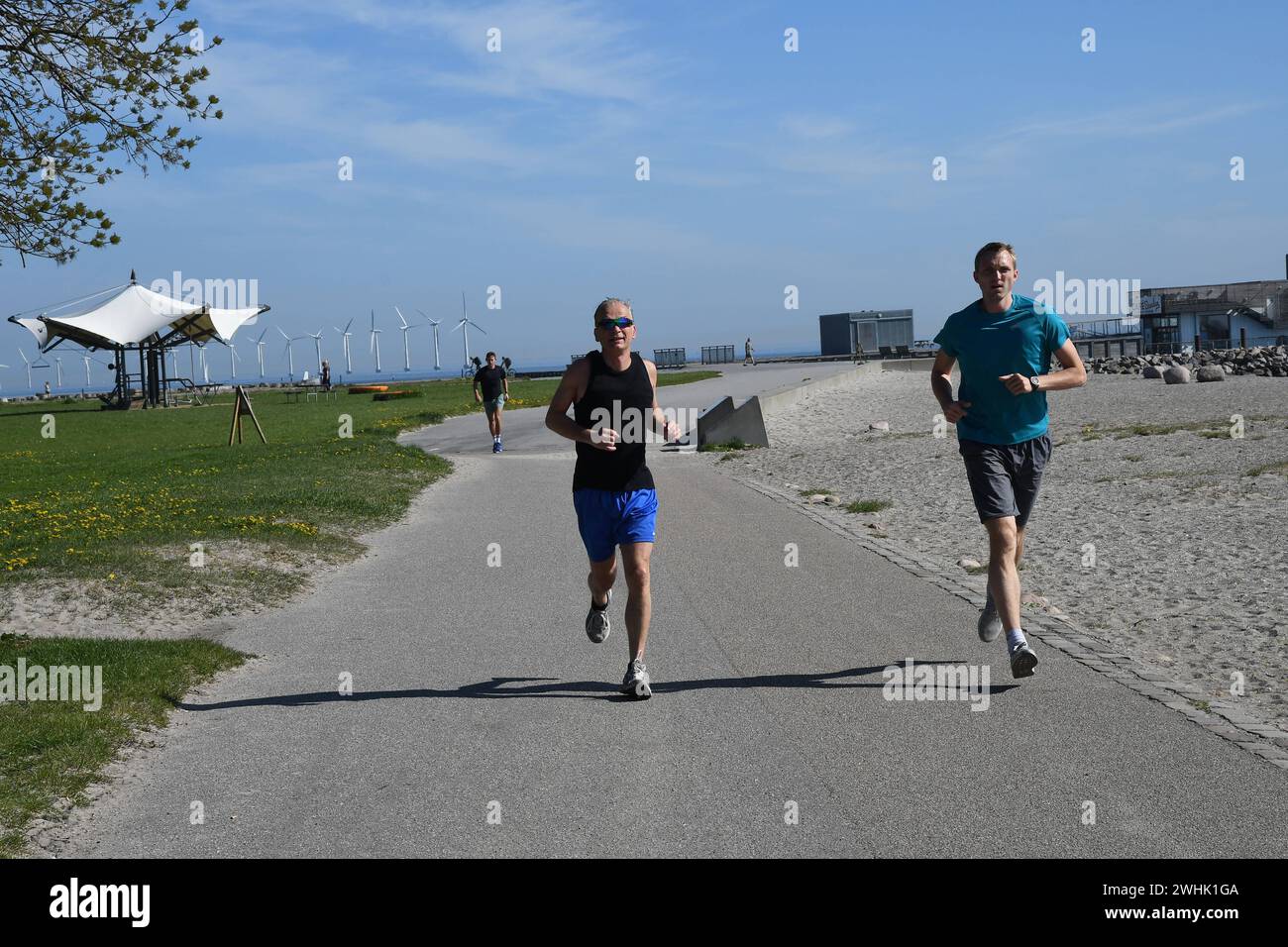 Copenhagen/Denmark 06.May 2018 Wind turnbanes park in danish water ...