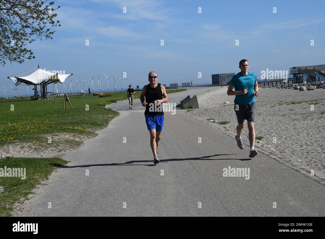 Copenhagen/Denmark 06.May 2018 Wind turnbanes park in danish water ...