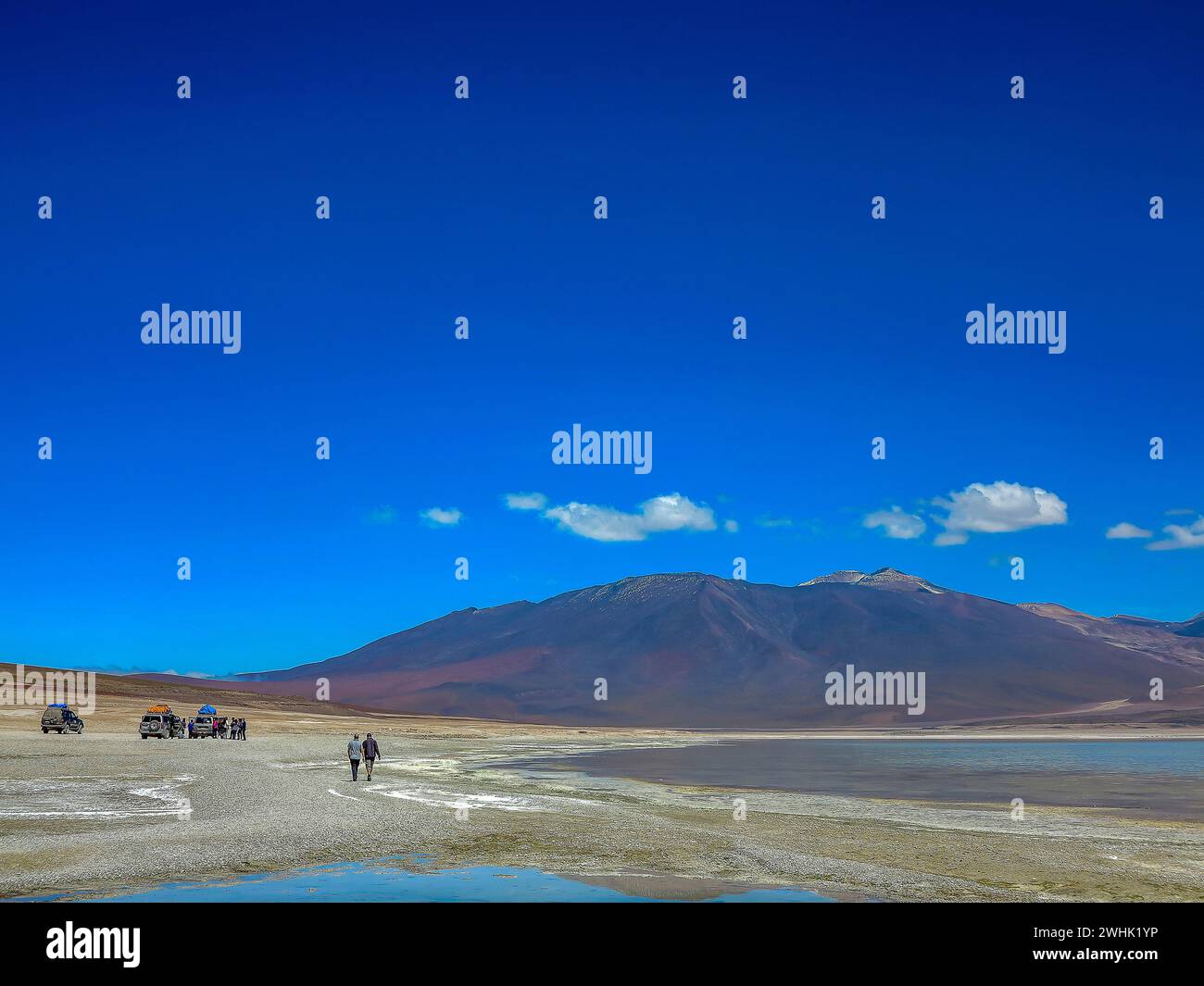 Atacam desert, Chile - jan 24 2014 - tourist with 4 x 4 cars on Atacama ...
