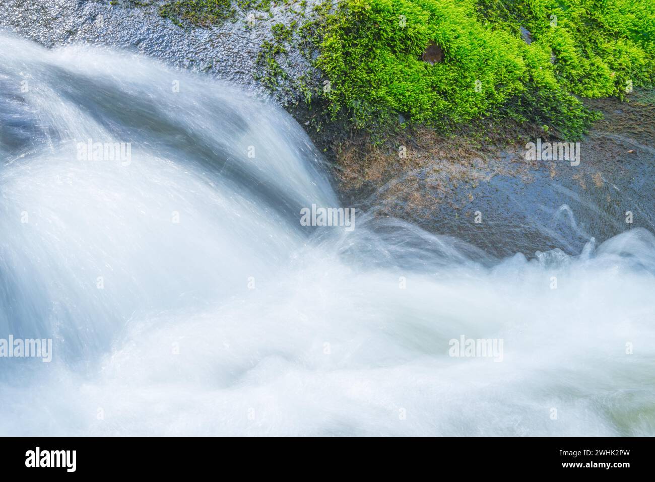 Fast flowing water flows over moss-covered stones, boulders, in a small river, rapids, riverbed ...