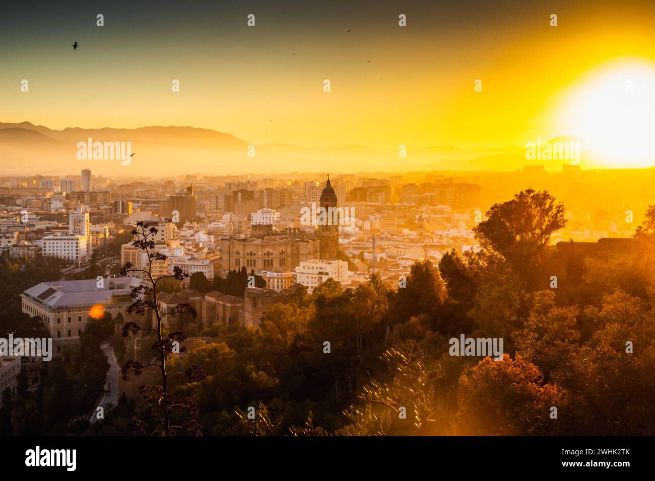Shoreline in malaga hi-res stock photography and images - Alamy