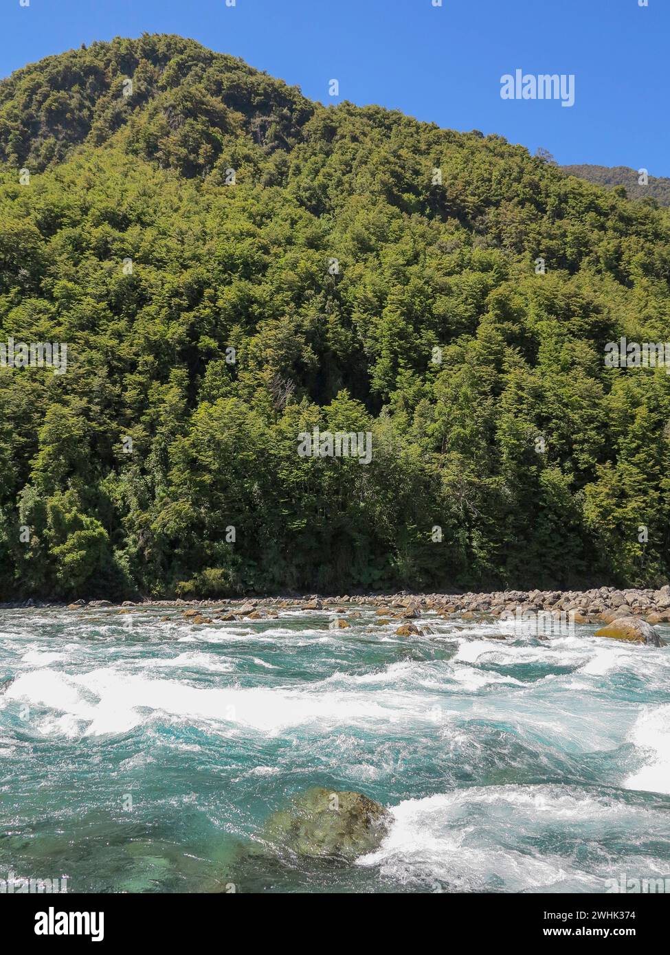 View of river on Vicente Perez Rosales National Park on Chile, South ...
