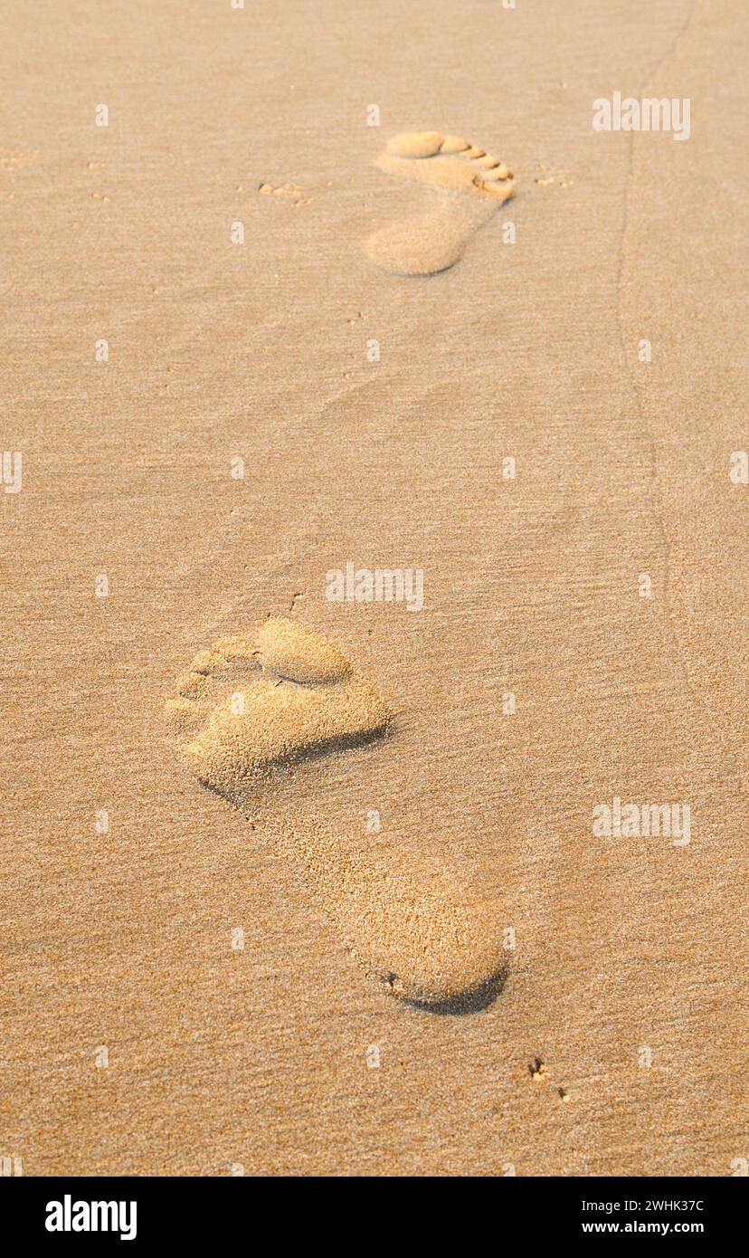 A human footprint on the sand of a sea beach. Vertical photo Stock ...