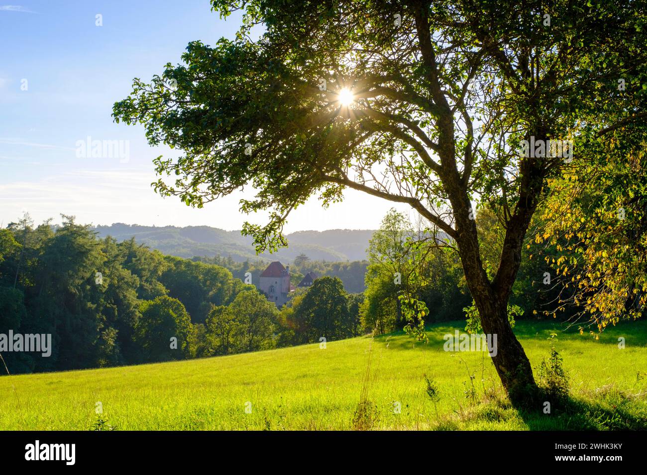 Tannenburg castle hi-res stock photography and images - Alamy