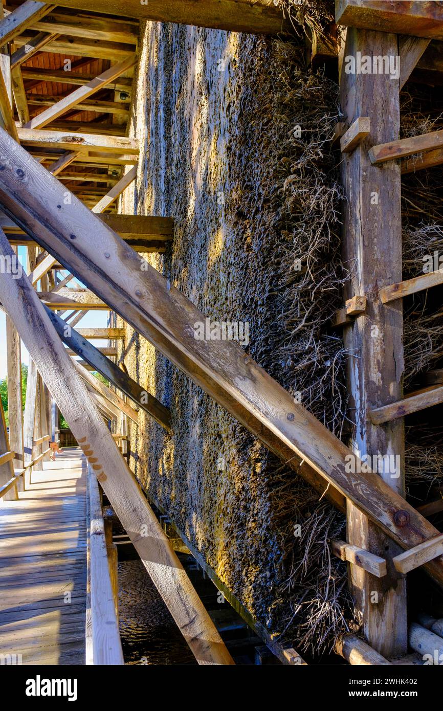 Graduation tower, graduation building, salt works, Steinhof, lower salt ...