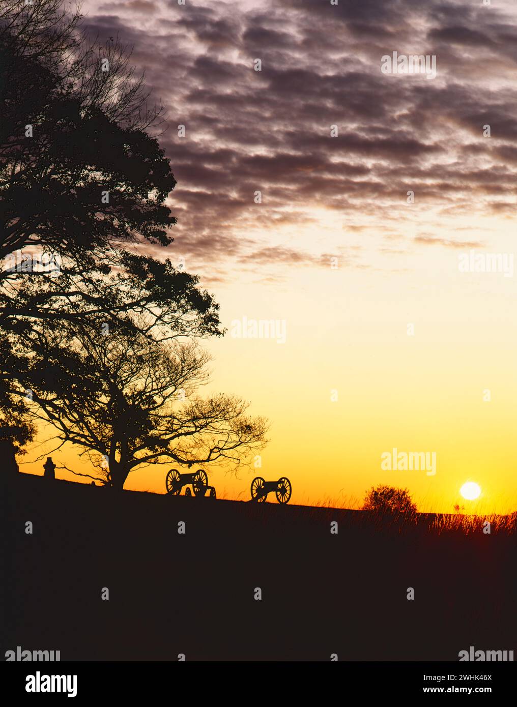 CEMETERY RIDGE & COPSE OF TREES, AT SUNRISE; GETTYSBURG NATIONAL ...