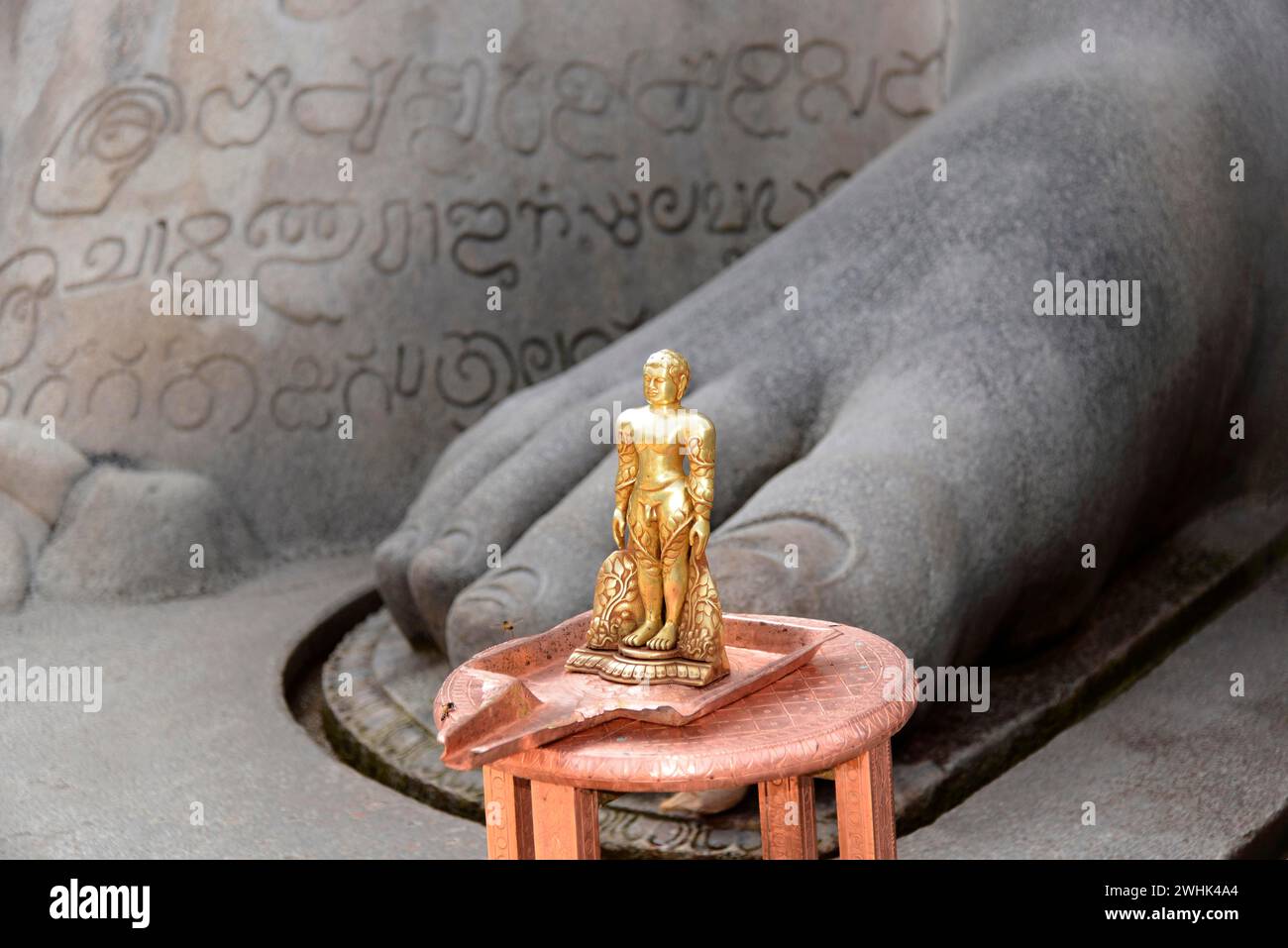 Detail, Gomateshwara statue, Jaina ascetic, Jain temple on Vindyagiri ...