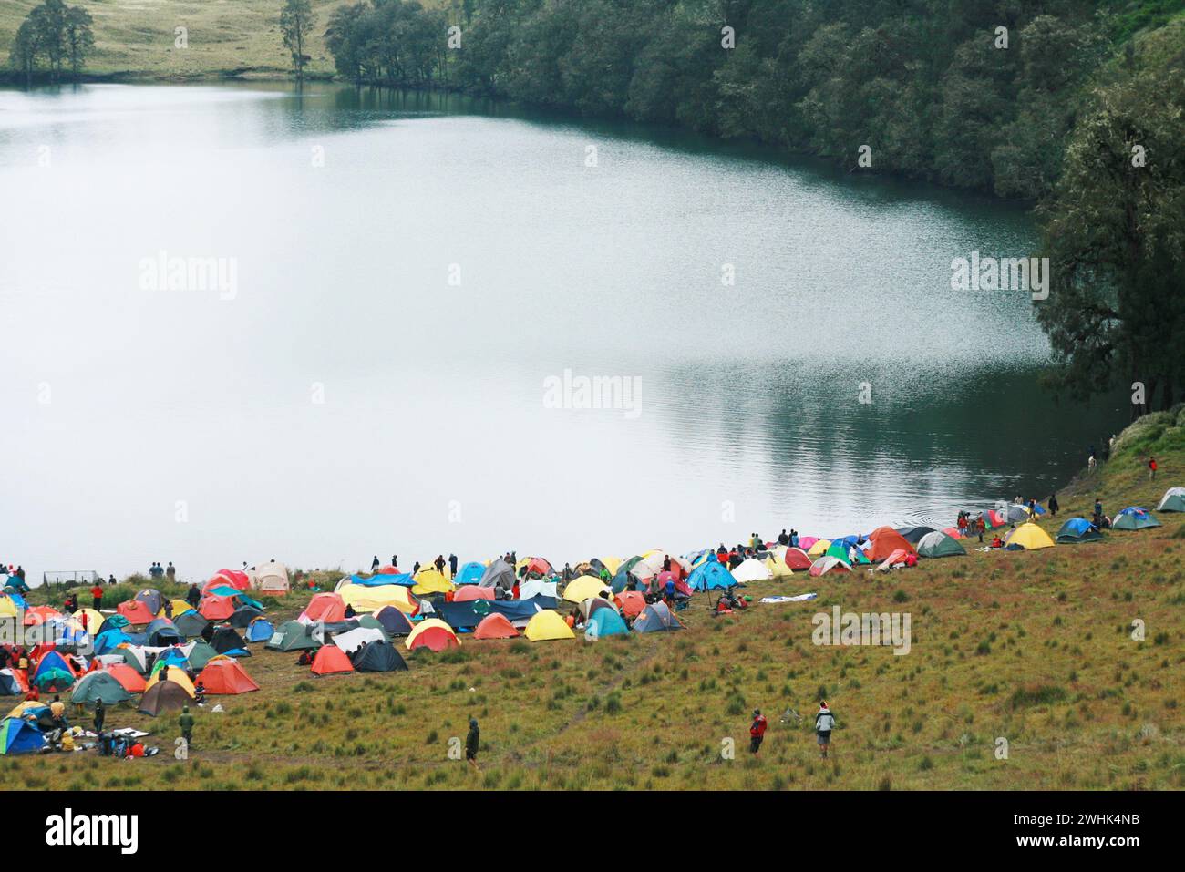 Large group of tent camping in the side of Ranu Kumbolo lake, Mount Semeru, East Java, Indonesia ...