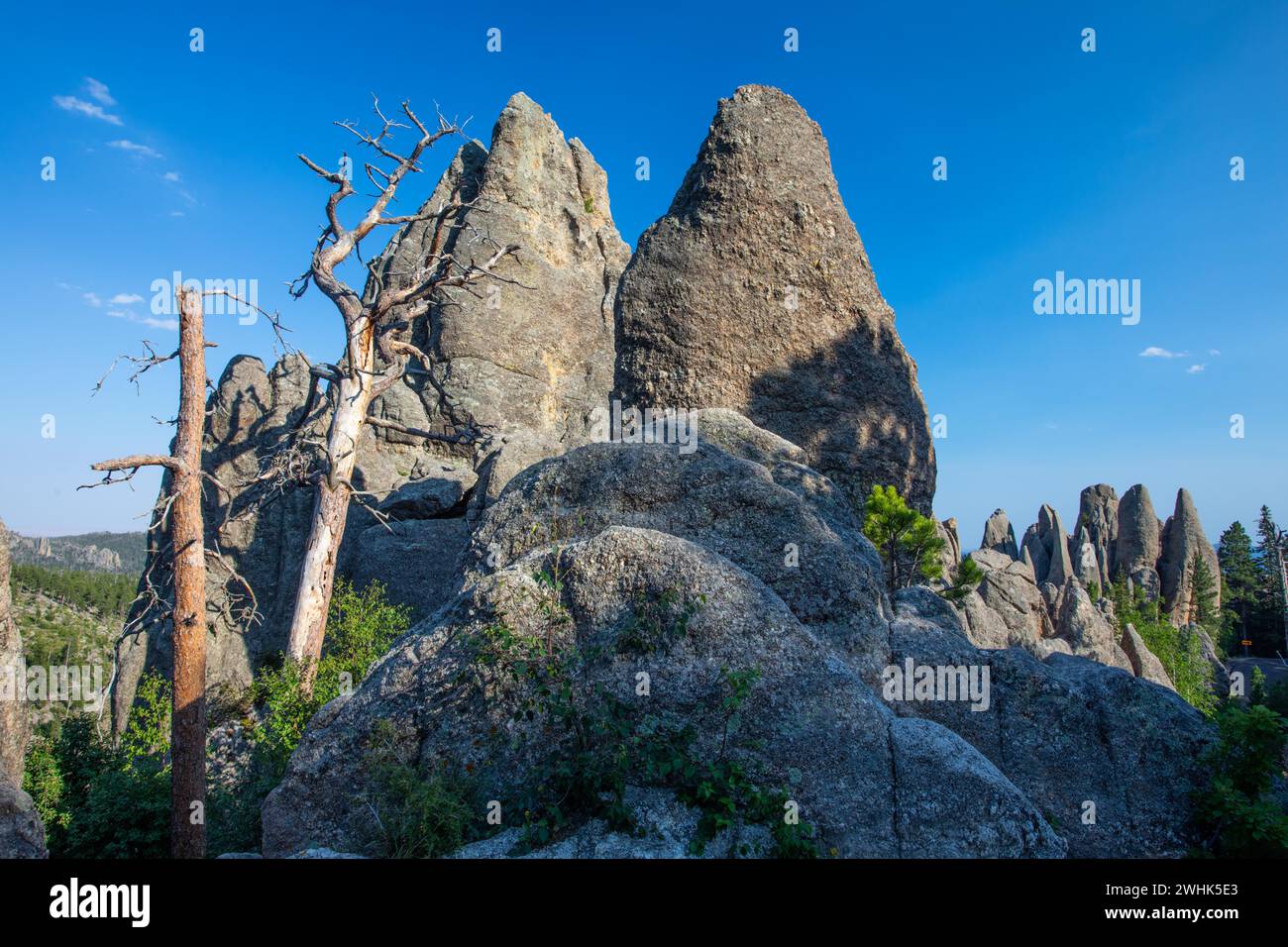 Needles Highway, Custer State Park, USA Stock Photo - Alamy