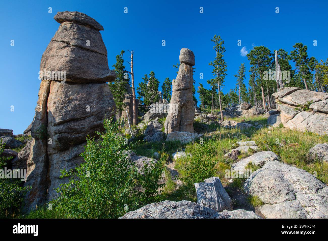 Needles Highway, Custer State Park, USA Stock Photo - Alamy