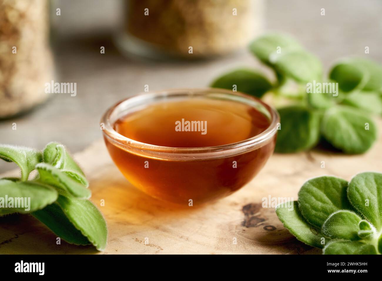 Homemade Plectranthus amboinicus syrup for common cold, with fresh ...