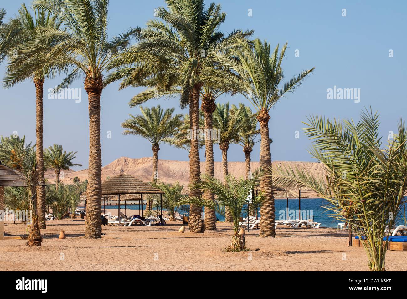 Beach of the Tala Bay coastline of the Red Sea, Aqaba, Jordan Stock ...