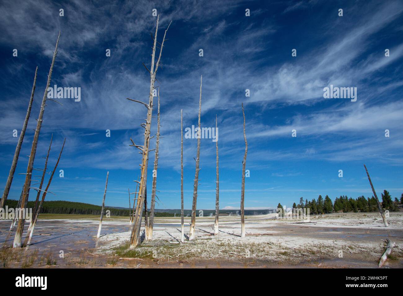 Yellowstone lower geyser basin hi-res stock photography and images - Alamy
