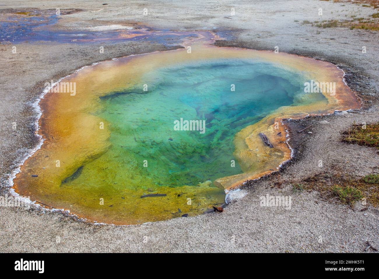 Water biscuit hi-res stock photography and images - Alamy