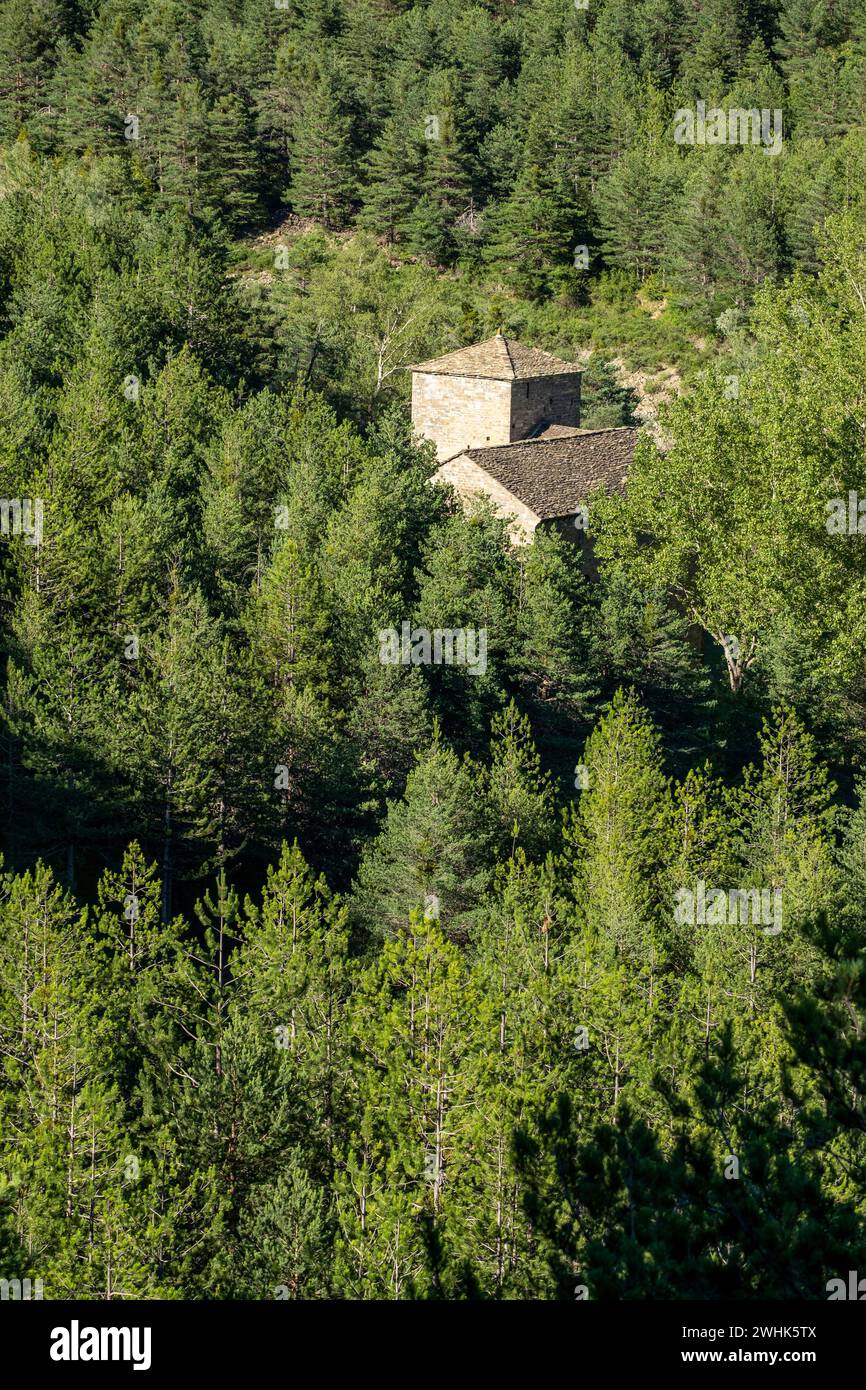Church virgin mary branches hi-res stock photography and images - Alamy