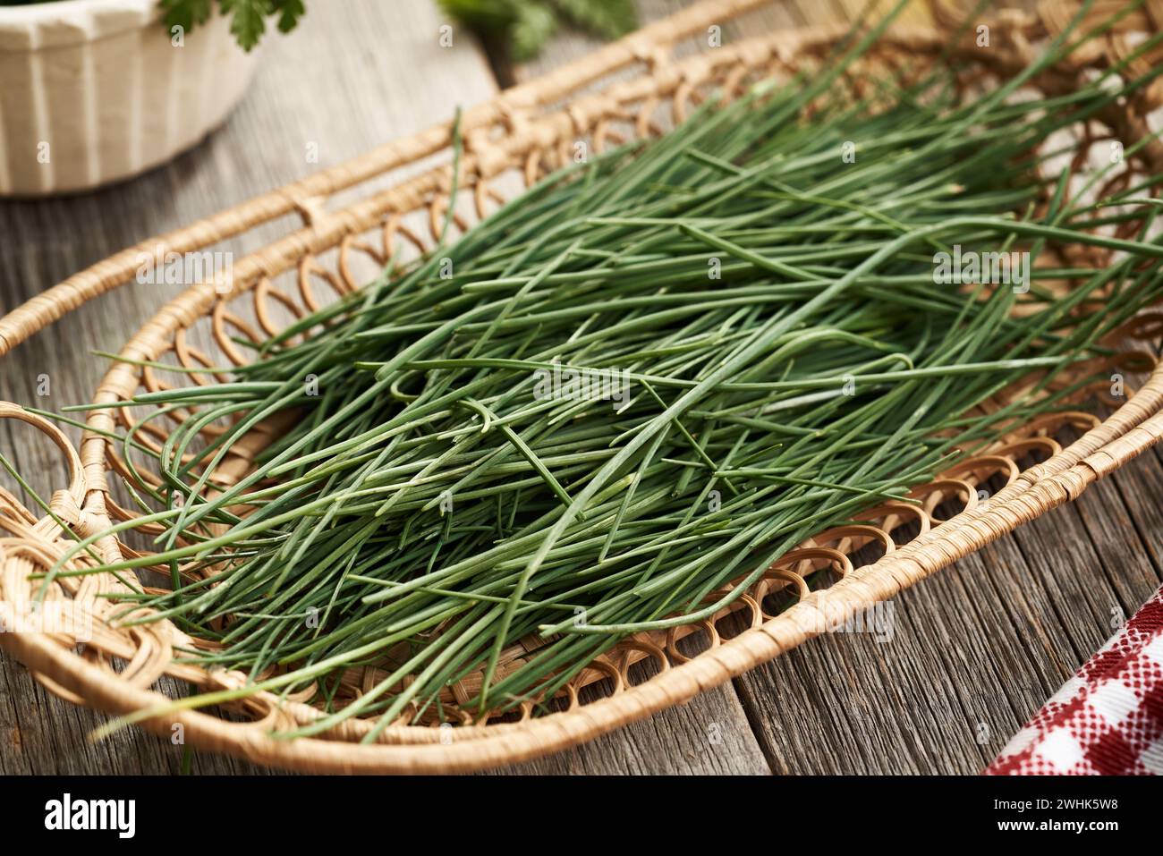 Onion grass hi-res stock photography and images - Alamy
