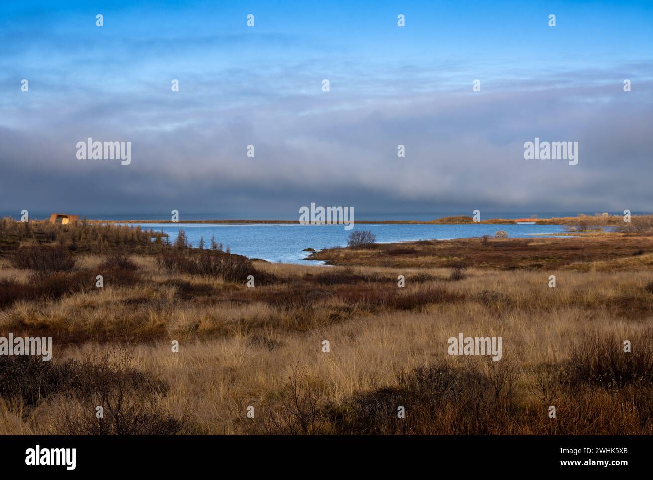 Yellow autumn grass on the fields and pastures. Line of Atlantic ocean ...