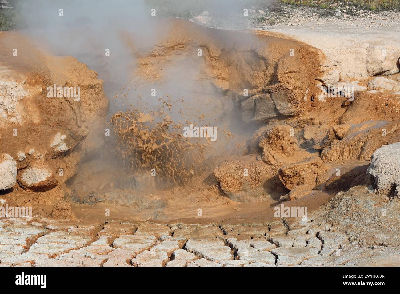 Mud volcano, Lower Geyser Basin, Yellowstone NP Stock Photo - Alamy