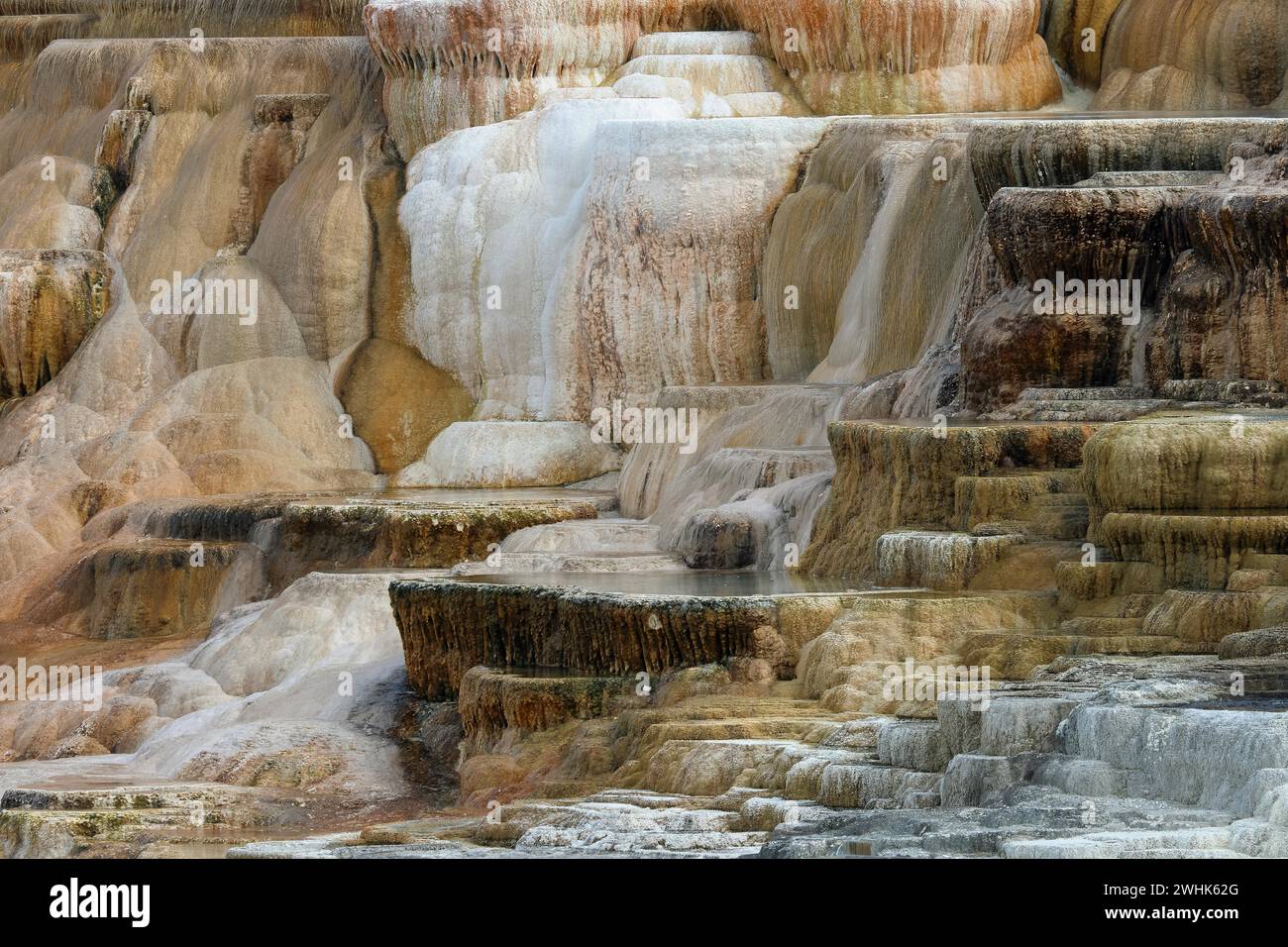Mammoth Hot Springs, Yellowstone NP Stock Photo - Alamy