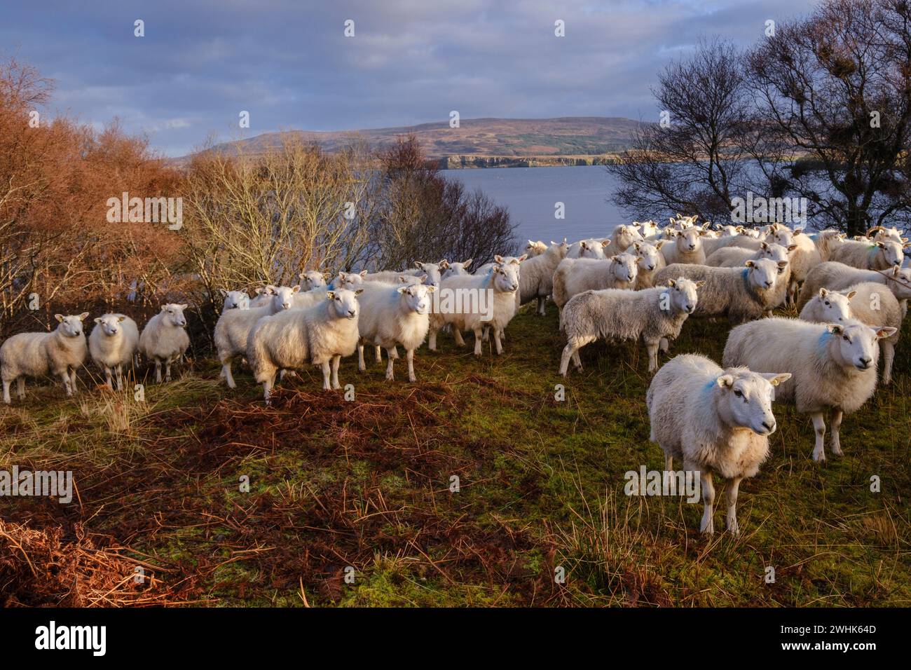 Actividades de desarrollo hi-res stock photography and images - Alamy