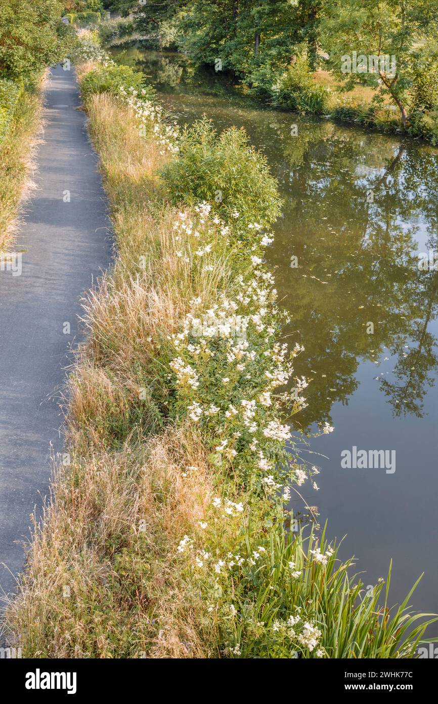 Bank path hi-res stock photography and images - Alamy