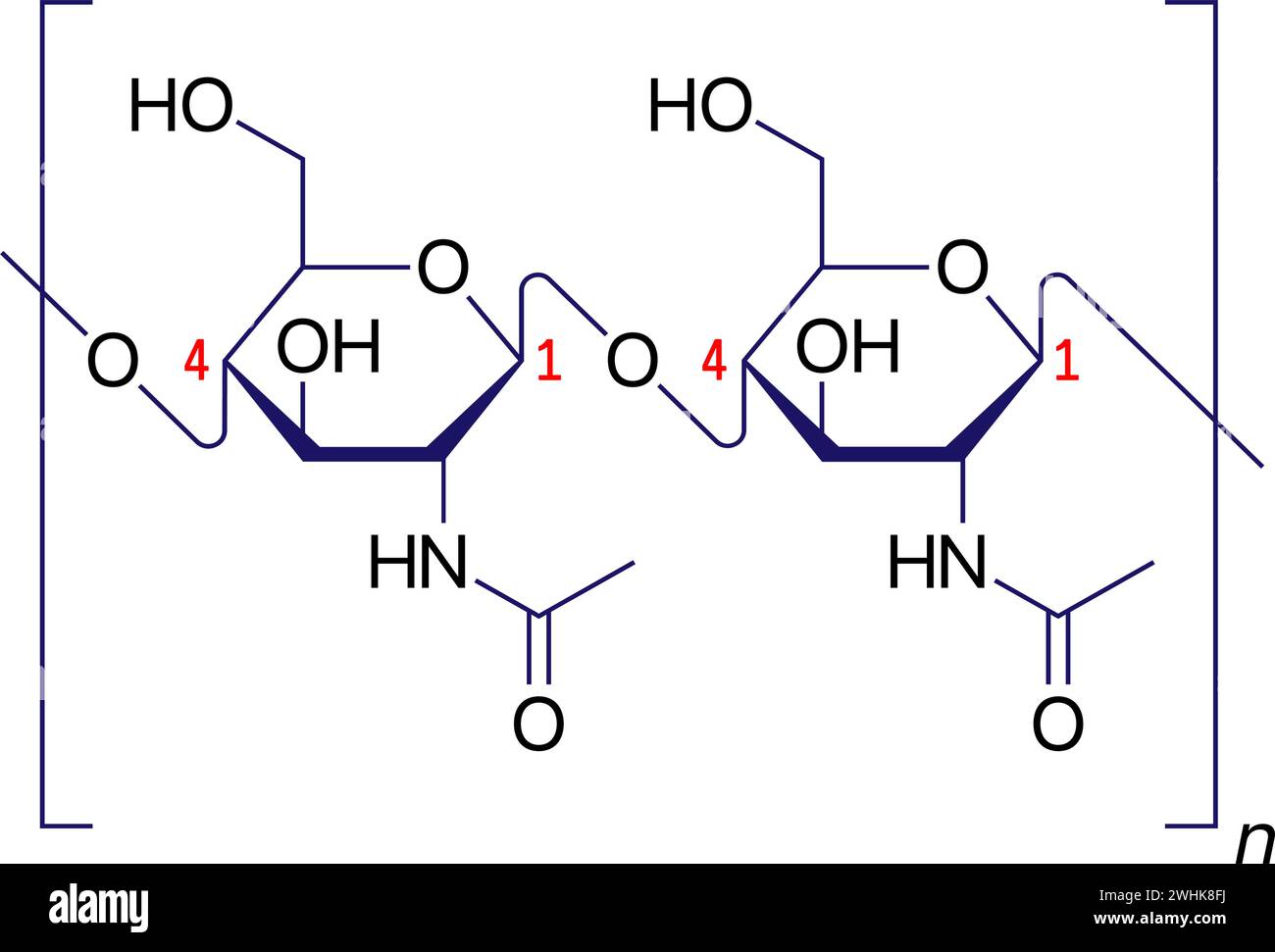 Chitinolytic fungi hi-res stock photography and images - Alamy