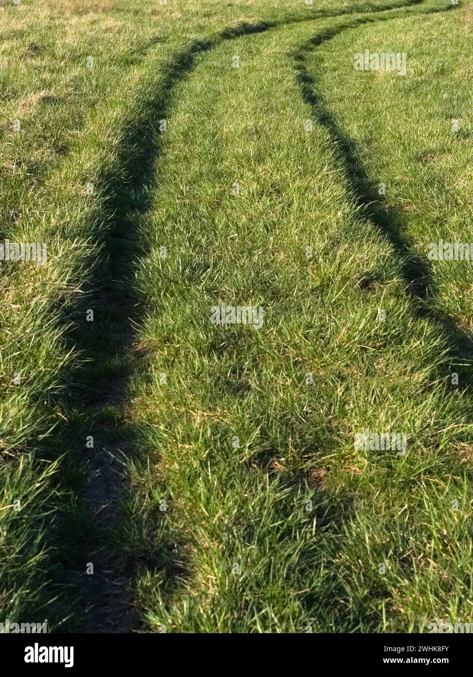Tire tracks in a field of grass hi-res stock photography and images - Alamy