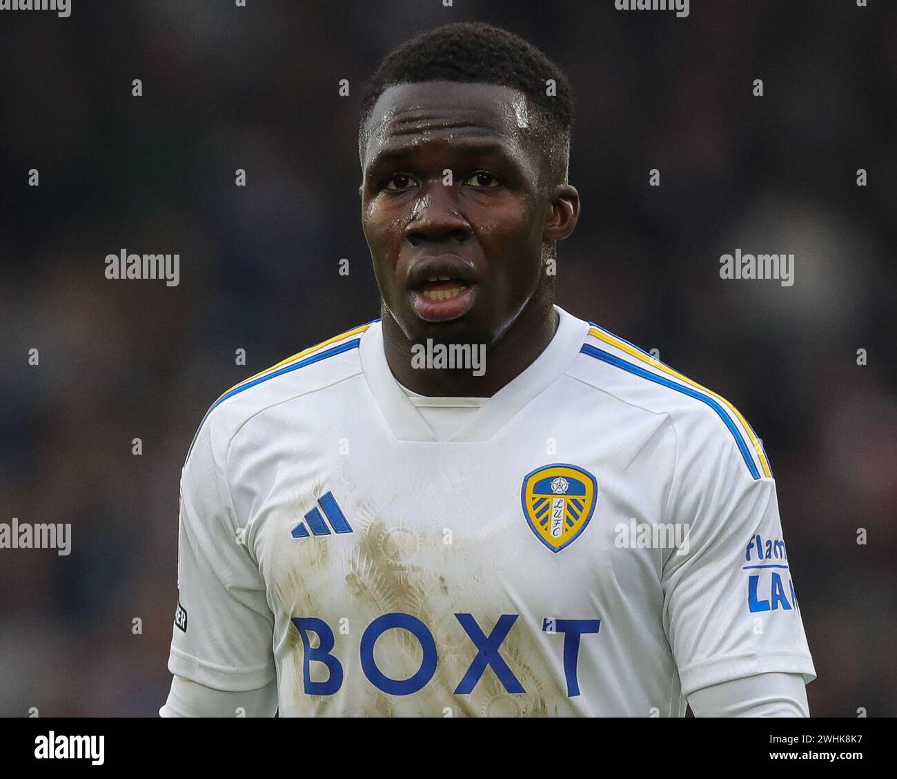 Wilfried Gnonto of Leeds United during the Sky Bet Championship match ...