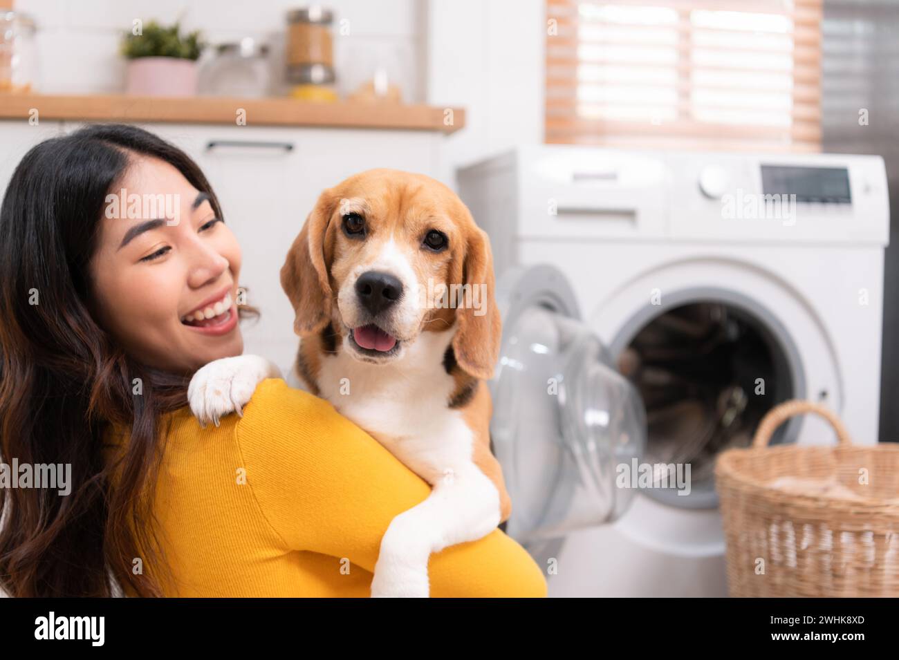Putting clothes on dog hi-res stock photography and images - Alamy