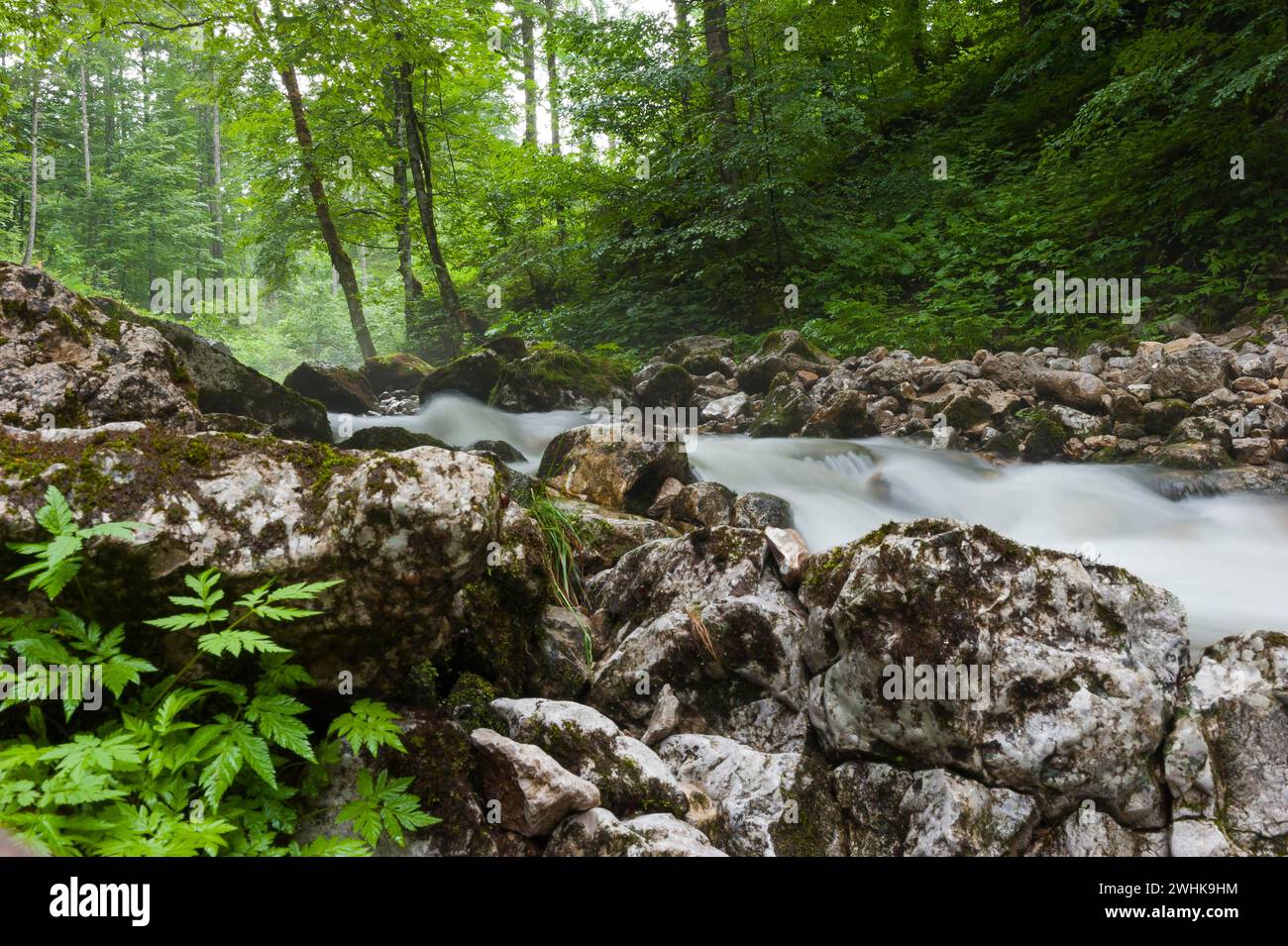 Rest and movement hi-res stock photography and images - Alamy