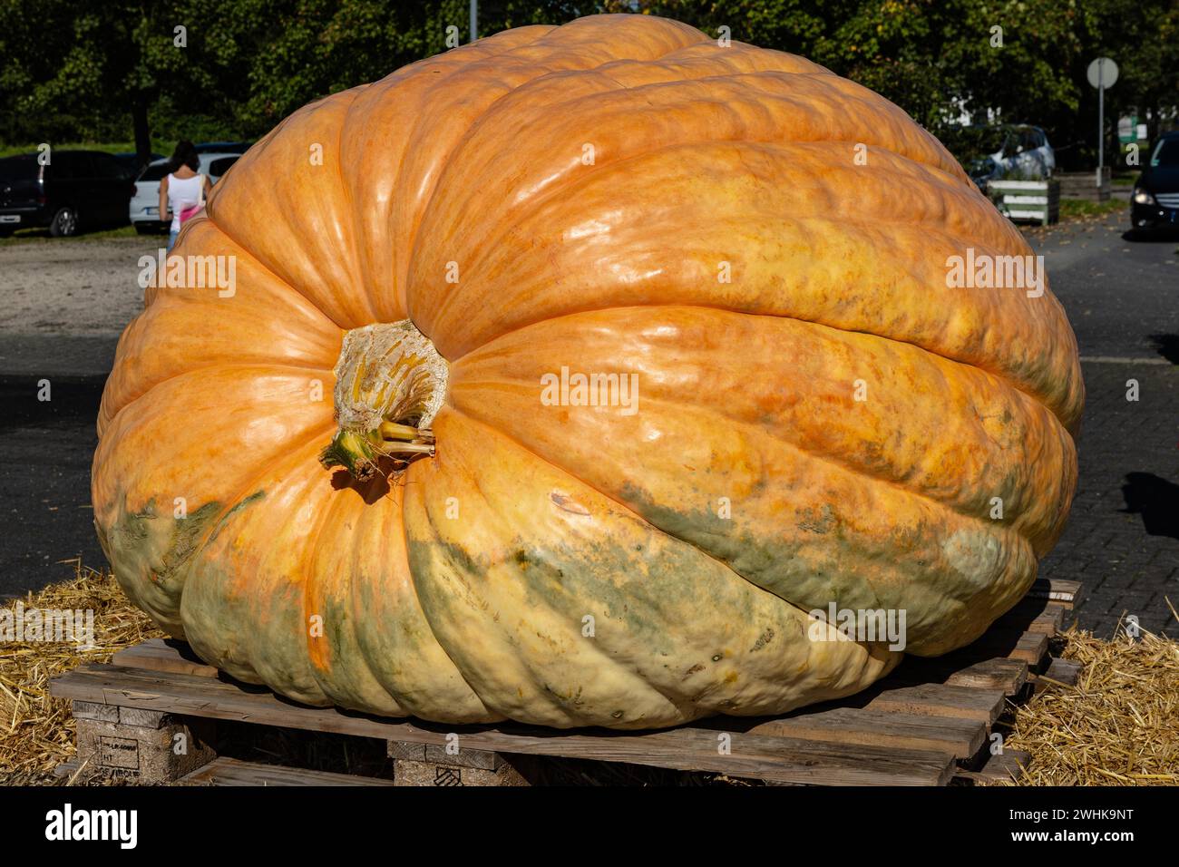 Huge heavy hi-res stock photography and images - Alamy