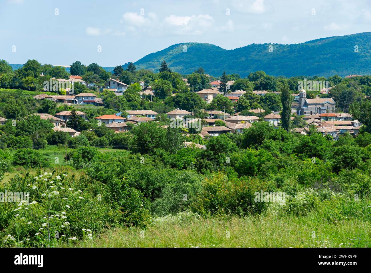 A quiet village surrounded by green hills and trees under a partly ...
