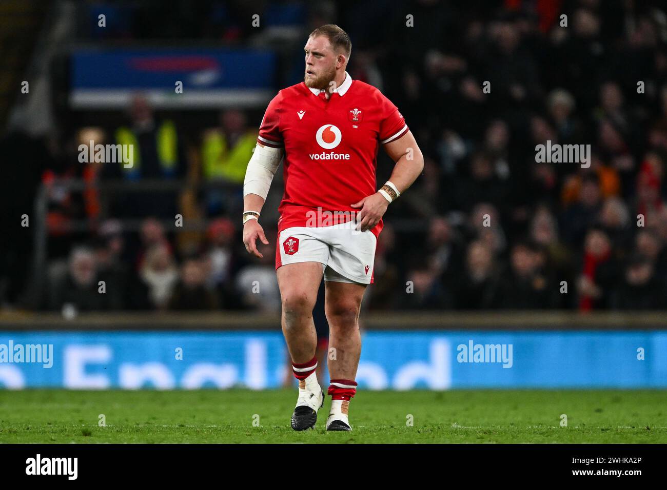 Corey Domachowski of Wales during the 2024 Guinness 6 Nations match ...