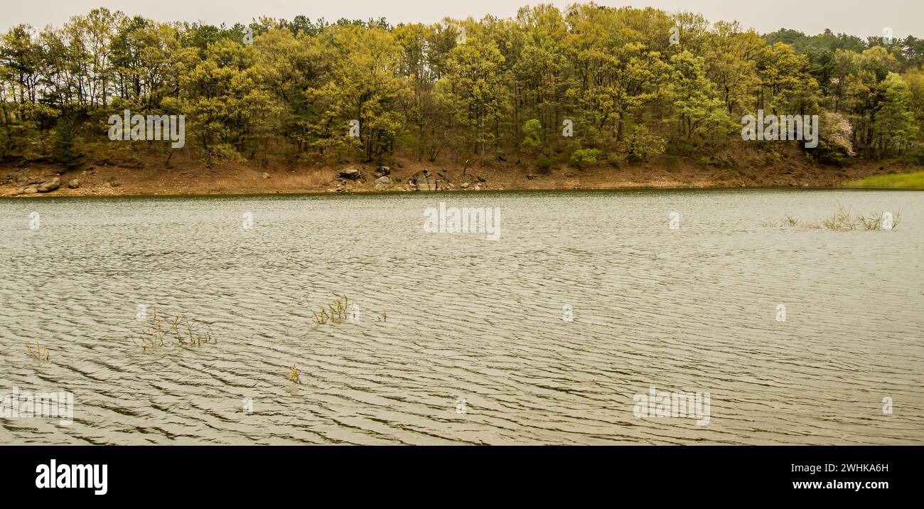 View of large boulders on far shore of lake with treeline and gray sky ...