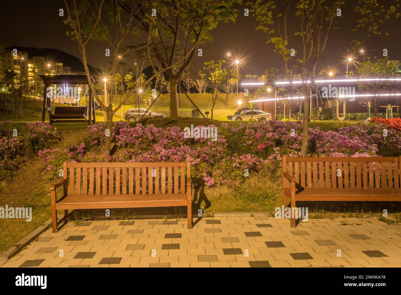 Night scene of wooden park benches at a lakeside park in a small town ...