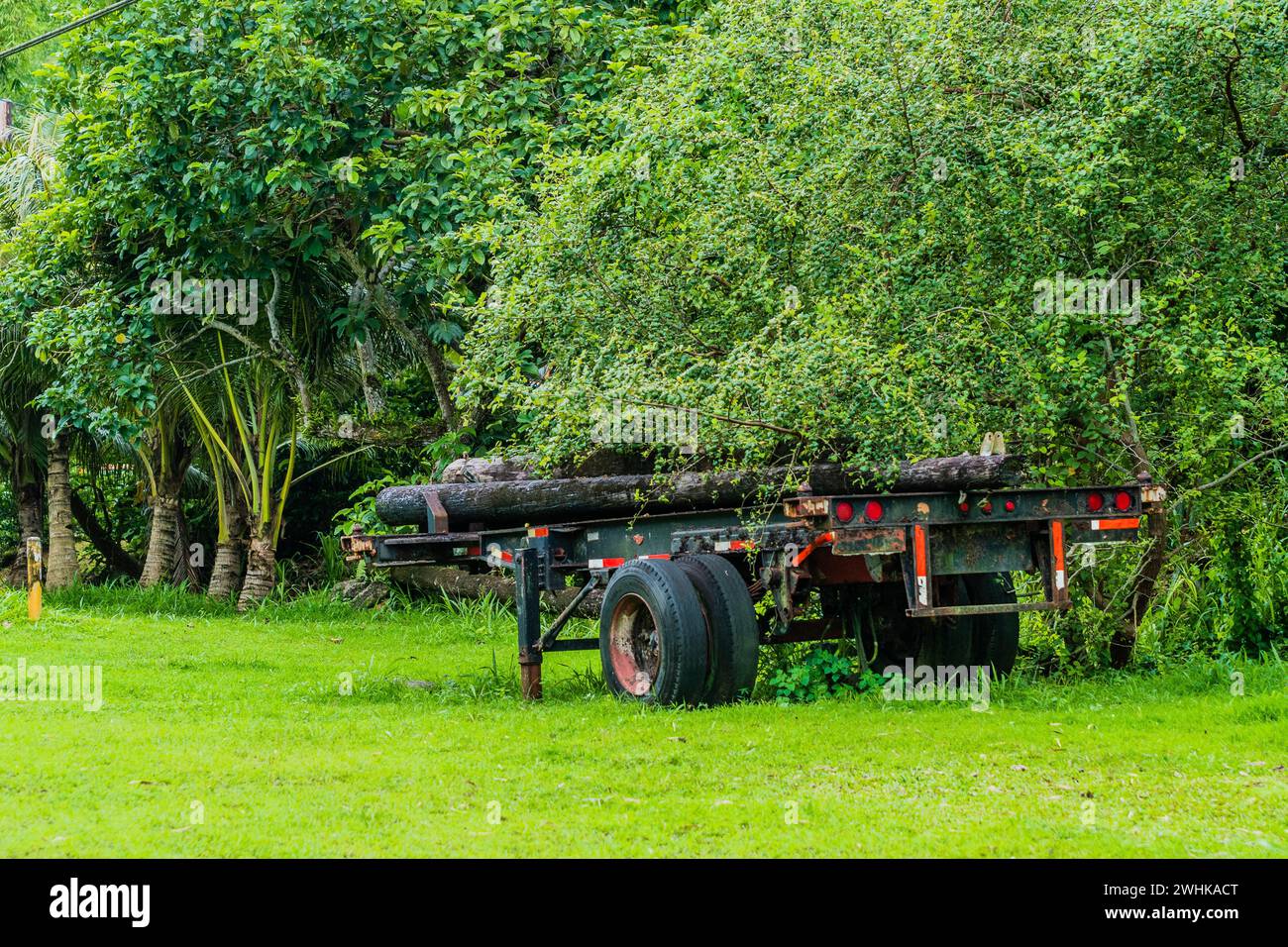 Trailer from a logging rig parked at the edge of a grassy meadow under ...