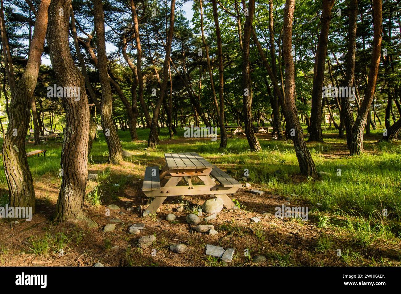 Single picnic table surrounded by rocks and small boulders in a picnic ...