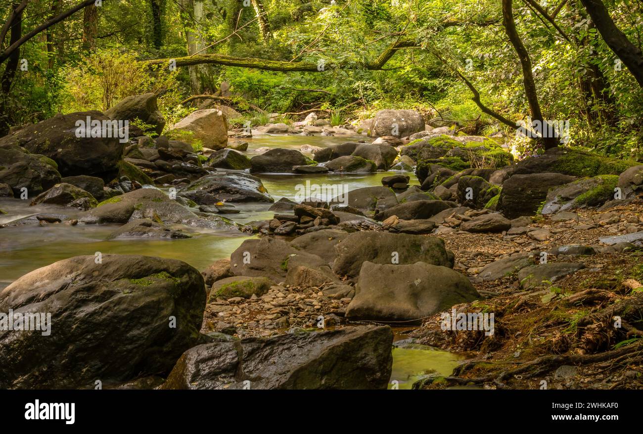 Landscape of a small mountain stream with rocks and boulders fading ...