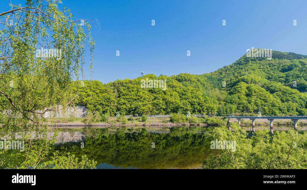 Landscape of river edge with lush green trees on the side of a hill ...