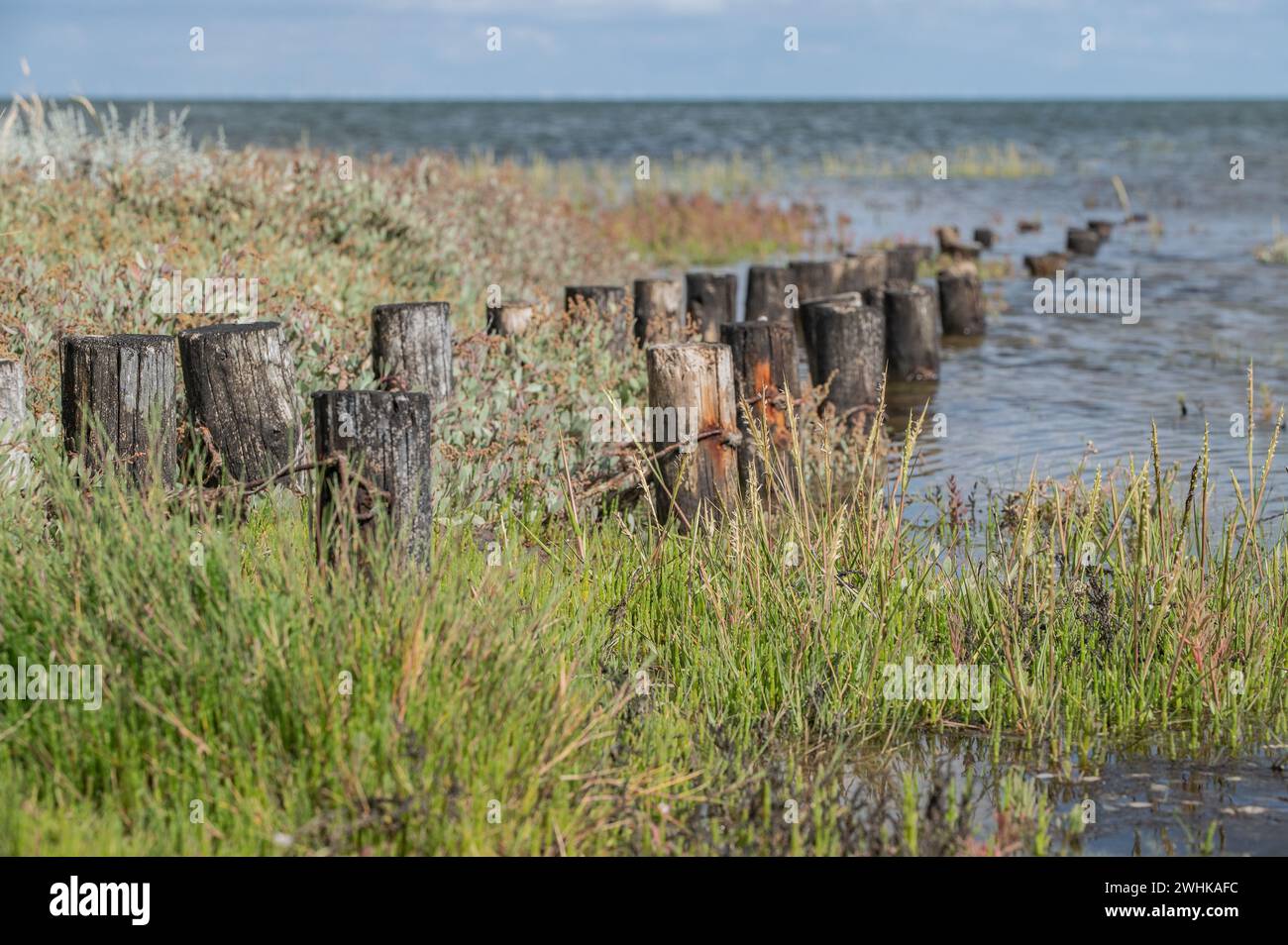 Strand beifuay hi-res stock photography and images - Alamy