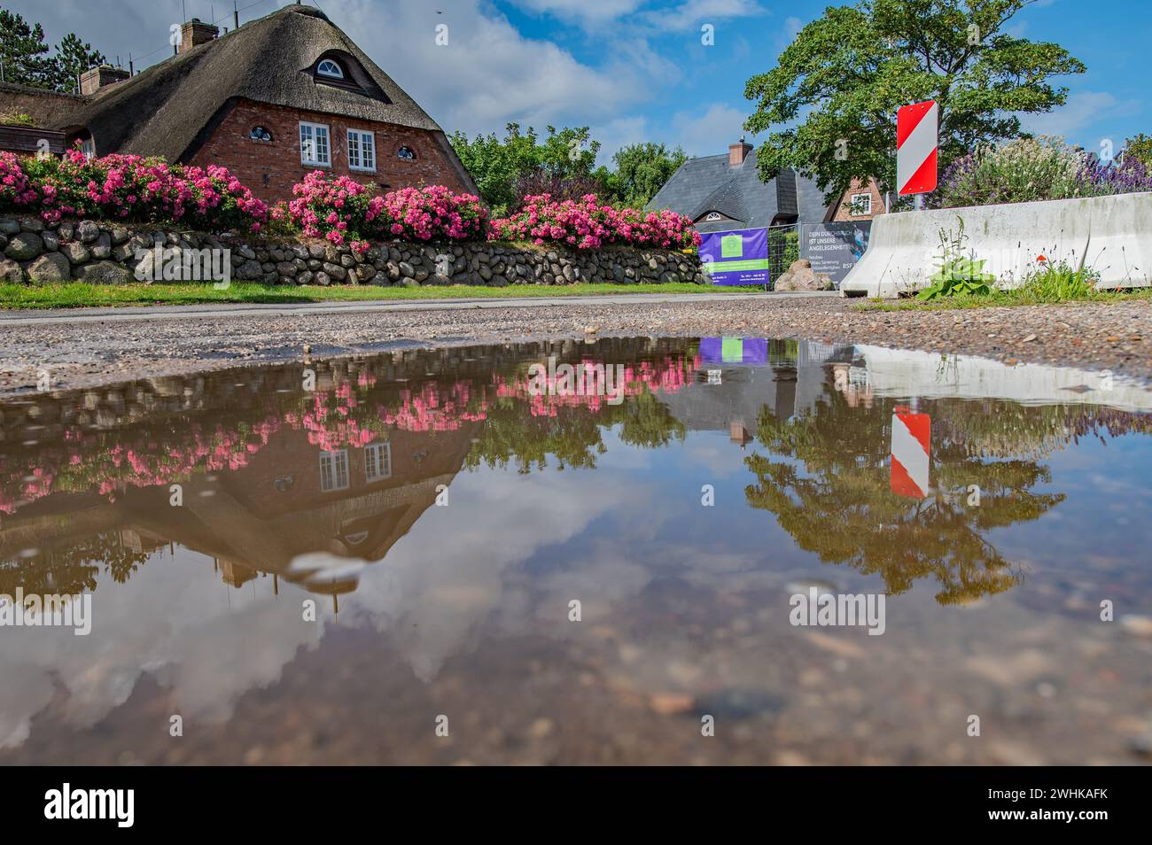 Regenpfa tze szenerie hi-res stock photography and images - Alamy
