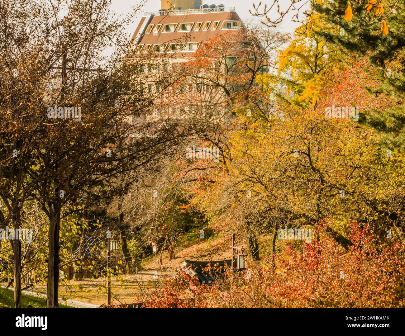 Landscape of a city park in Daejeon, South Korea, with trees in fall ...