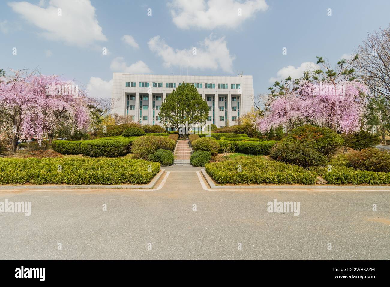 Large white brick building behind manicured tree framed by two ...
